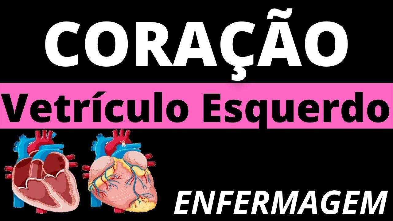 Anatomia do Ventrículo Esquerdo: Miocárdio e Bombeamento Cardíaco em ...