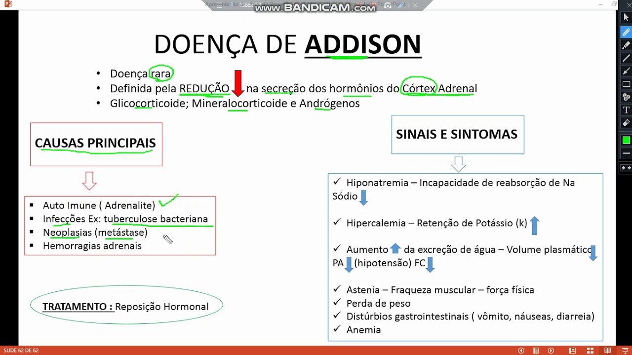Distúrbios Adrenais: Doença de Addison