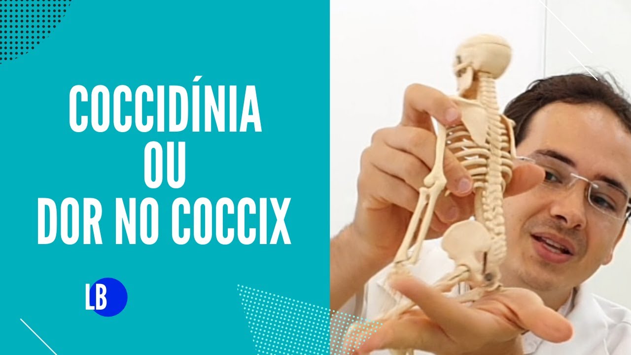 Dor no cóccix: causas, sintomas e tratamentos para fratura, luxação e ...