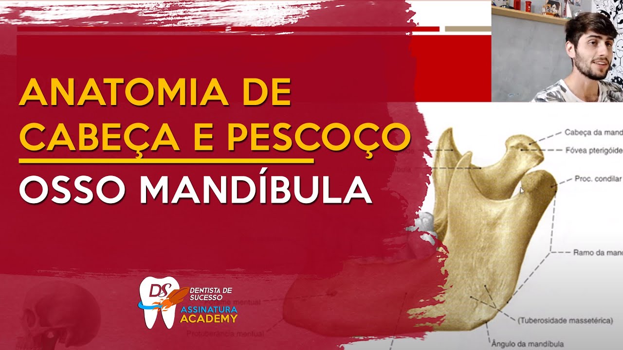 Anatomia da mandíbula: conhecendo a estrutura óssea da cabeça e pescoço