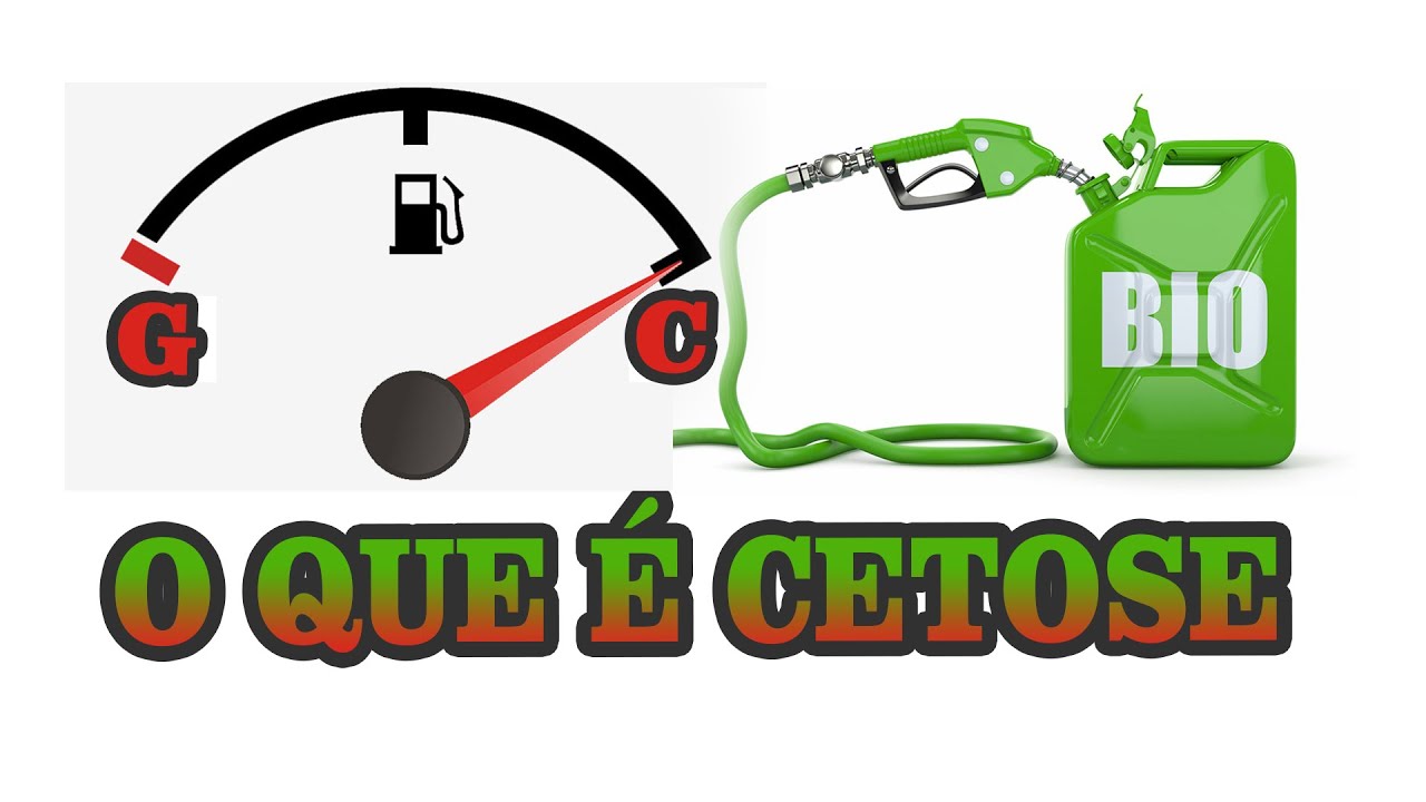 Entenda o que é cetose e seus efeitos no corpo humano.