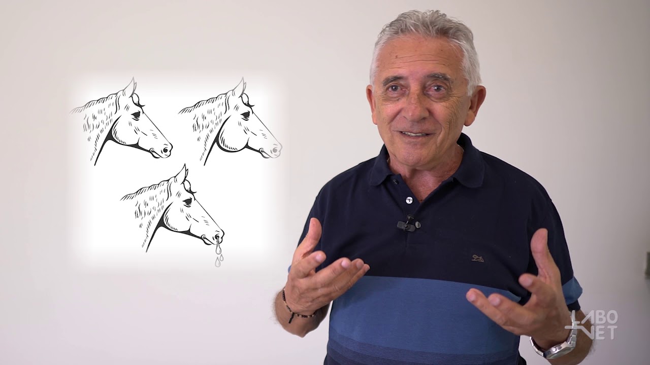 Garrotilho (adenite equina): Saiba tudo com o Prof. Cleyton Eustáquio Braga