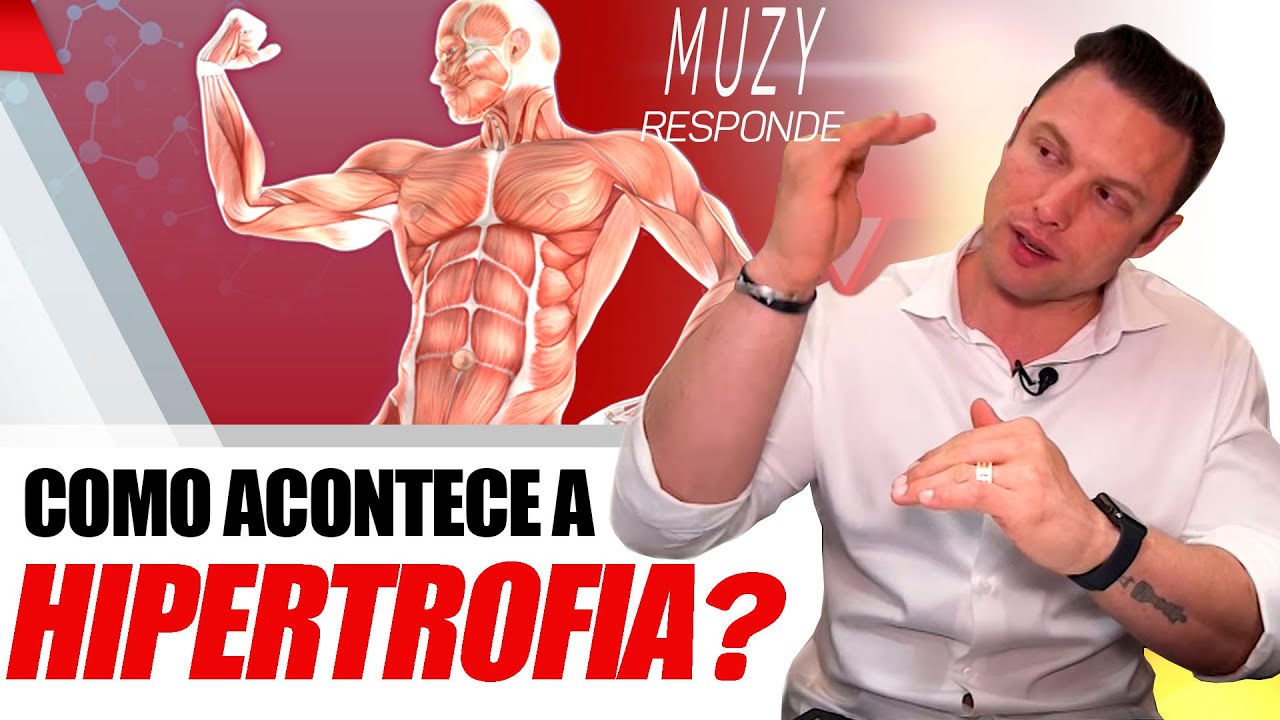 Hipertrofia Muscular: Descubra como acontece e entenda o processo ...