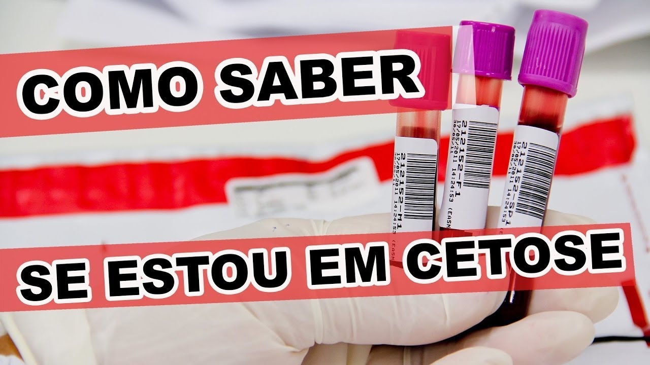 Os principais sinais e sintomas da cetose para você identificar.