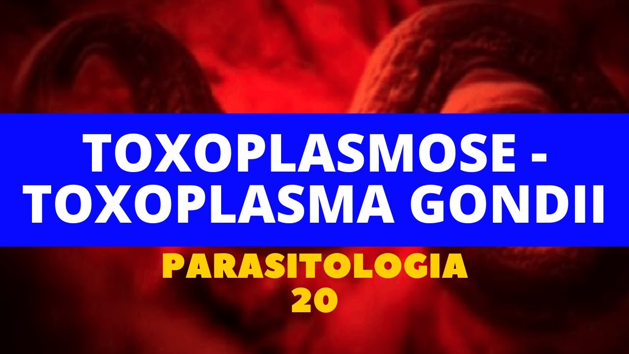 Toxoplasmose: causas, sintomas e tratamento da infecção pelo parasita ...